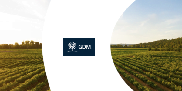 Trainee GDM Seeds 2024 remunera R$7.380,00 e aceita todos os cursos – Seja Trainee